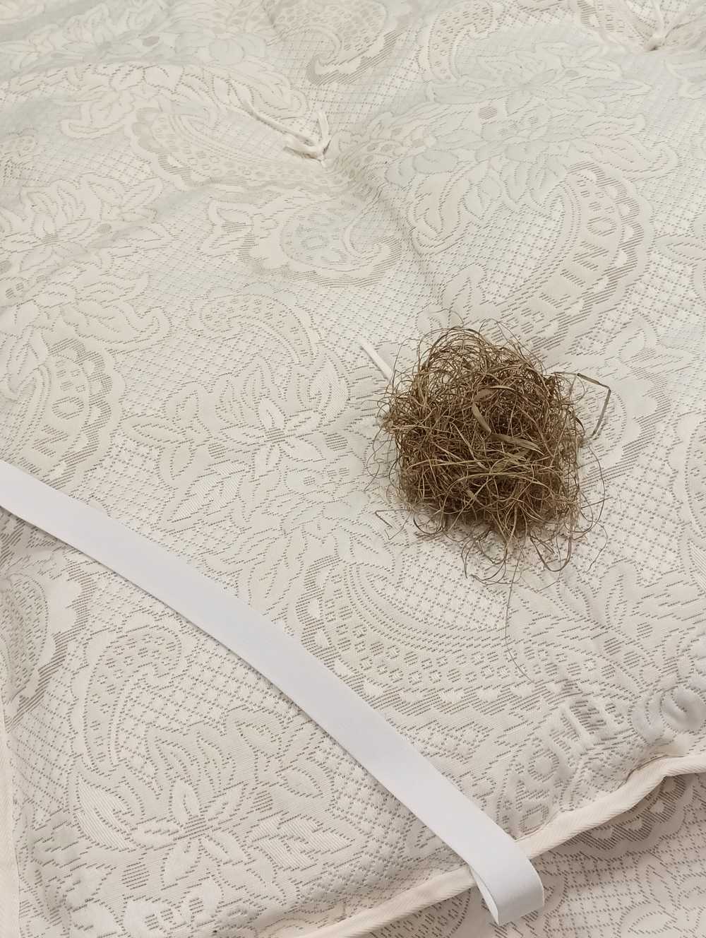 Dolceflex - Topper crine vegetale - Buy on Vetrina Live